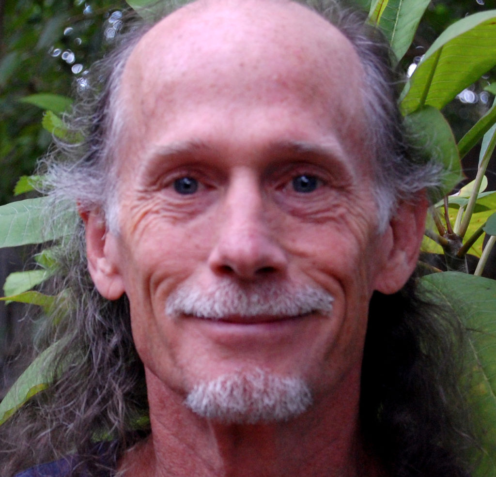 Jingui Golden Shield Qi Gong – Temple-Style Qi Gong for Health and ...